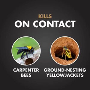 Spectracide Carpenter Bee And Ground-Nesting Yellowjacket Killer Foaming Aerosol 16 Ounce (Pack of 12), Expands To Where Insects Live