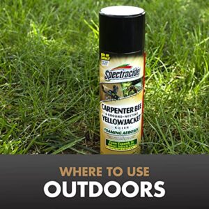 Spectracide Carpenter Bee And Ground-Nesting Yellowjacket Killer Foaming Aerosol 16 Ounce (Pack of 12), Expands To Where Insects Live