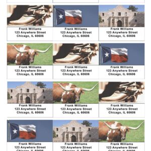 Texas Address Labels