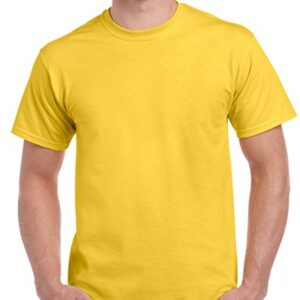 Gildan Men's G2000 Ultra Cotton Adult T-shirt, Daisy, Large