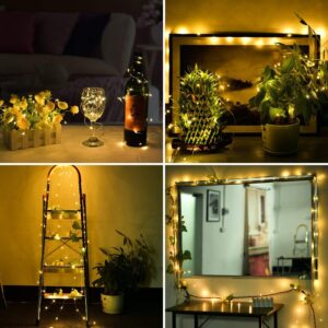 ANJAYLIA LED Fairy String Lights, 10Ft/3M 30leds Firefly String Lights Garden Home Party Wedding Festival Decorations Crafting Battery Operated Lights, Warm White