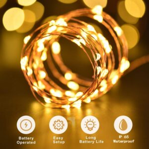 ANJAYLIA 2 Pack 33ft 100 LED Fairy Lights Battery Operated, Waterproof Twinkle String Lights, Copper Wire Dimmable Firefly Lights with Remote Control Timer, Warm White