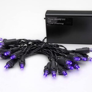 2 Packs of DecoBrite Purple 8ft (2.4m) 20 ct Battery Operated Halloween String Lights with Timer Indoor Outdoor Two Mode Functions on Black Wire for Small Spaces Wreath Room Window Decorations