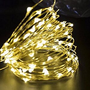 ESE Fairy String Lights Battery Operated timer Waterproof outdoor indoor 8 Modes 40 LED 13.12FT Wire Firefly Lights (warm white)