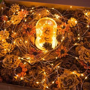 Lxcom Lighting Fairy String Lights 6.56Ft 280leds 14 Strands Battery Operated Copper Wire Branch Lights 8 Modes Waterfall Twinkle Lights with Timer Decorative Light for Home Festival Decor(Warm White)