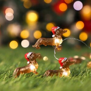 Ball Christmas Lights for Outside Puppy String Lights LED Battery Operated and Powered Fairy Lights Pet Theme Decoration Suitable for Indoor Wedding Birthday Party Wire Christmas (White, One Size)