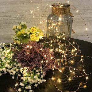 partyall24 Led Decorative Fairy String Lights Battery Powered Copper Wire Light Indoor/Outdoor Decorating (16)