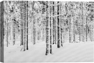 signwin canvas wall art winter snow covered birch trees on the hillside nature forest modern art traditional scenic dramatic black and white for living room, bedroom, office - 16x24 inches