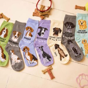 Foozys Unisex Crew Socks | Canine/Dog Collection | Golden Retriever