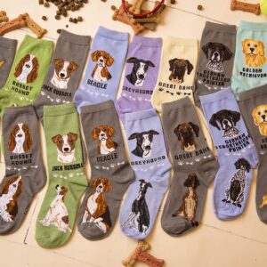 Foozys Unisex Crew Socks | Canine/Dog Collection | Golden Retriever