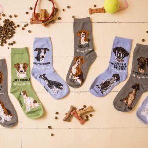 Foozys Unisex Crew Socks | Canine/Dog Collection | Golden Retriever