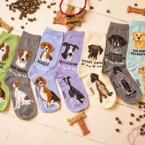 Foozys Unisex Crew Socks | Canine/Dog Collection | Golden Retriever