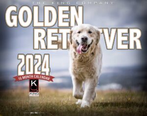 2024 golden retriever wall calendar 16-month x-large size 14x22, best golden retriever dog calendar by the king company-monster calendars