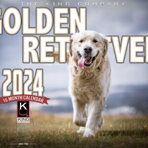 2024 Golden Retriever Wall Calendar 16-Month X-Large Size 14x22, Best Golden Retriever Dog Calendar by The KING Company-Monster Calendars