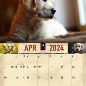 2024 Golden Retriever Wall Calendar 16-Month X-Large Size 14x22, Best Golden Retriever Dog Calendar by The KING Company-Monster Calendars