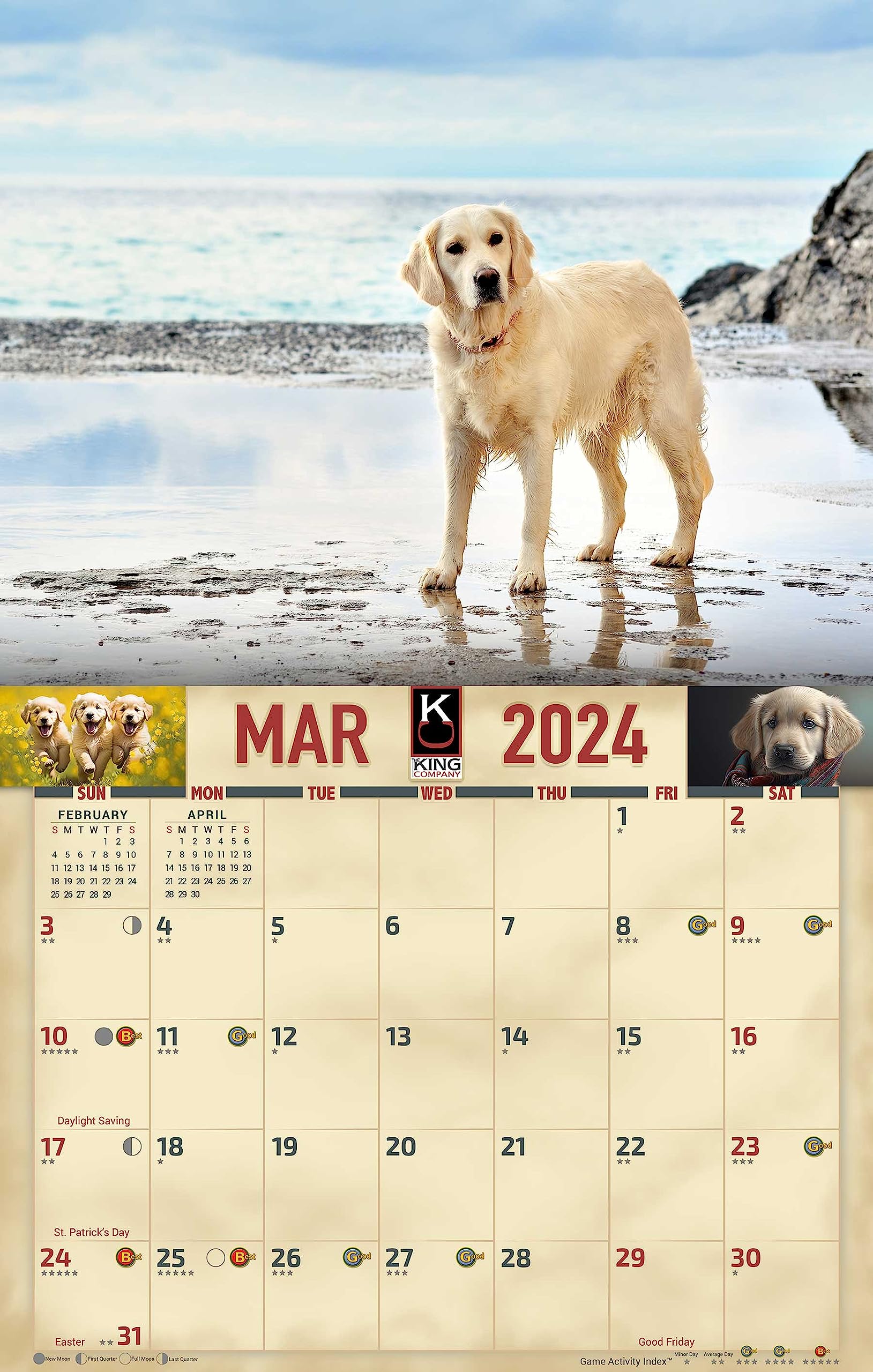 2024 Golden Retriever Wall Calendar 16-Month X-Large Size 14x22, Best Golden Retriever Dog Calendar by The KING Company-Monster Calendars