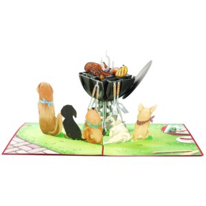 Liif King Of Grill Fathers Day Card, 3D Funny Fathers Day Pop Up Card, Funny Birthday Card For Dad, Men, Husband, Chef, Him, Grandfather, Dog Dad | With Message Note & Envelop (King Of Grill)