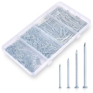 nail for hanging pictures assortment kit - 650pcs small nails, finishing nails, hanging nails, picture nails, wall nails for hanging, pin nails