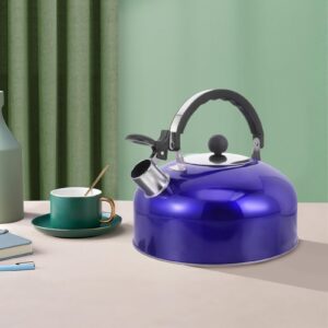 BESTonZON Whistling Tea Kettle Tea Bottle Stainless Steel Stovetop Teapot 4L Camping Water Kettle Kitchen Coffee Kettle Metal Water Pot with Cool Handle for Home Office Blue