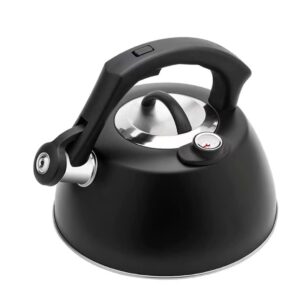 Sound Kettle with Temperature Gauge,Stainless Steel Kitchen Whistle Kettle,Water Temperature Display Sound Kettle 2.5L,Gas Stove Kettle,Camping Hob Kettle