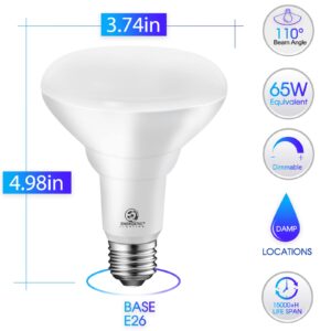 Energetic LED Recessed Light Bulbs BR30, 65W Equivalent, Dimmable, Warm White 3000K, Indoor Flood Lights for Recessed Cans, UL Listed, 12 Pack