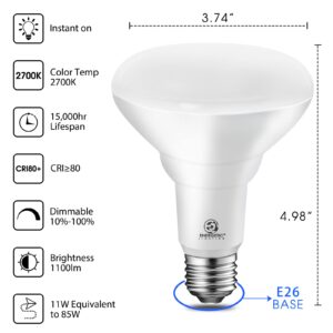 Energetic 12 Pack LED Recessed Light Bulbs BR30, 1100Lumens, 85W Equivalent, Dimmable, Soft White 2700K,Indoor Flood Lights for Recessed Cans, UL Listed