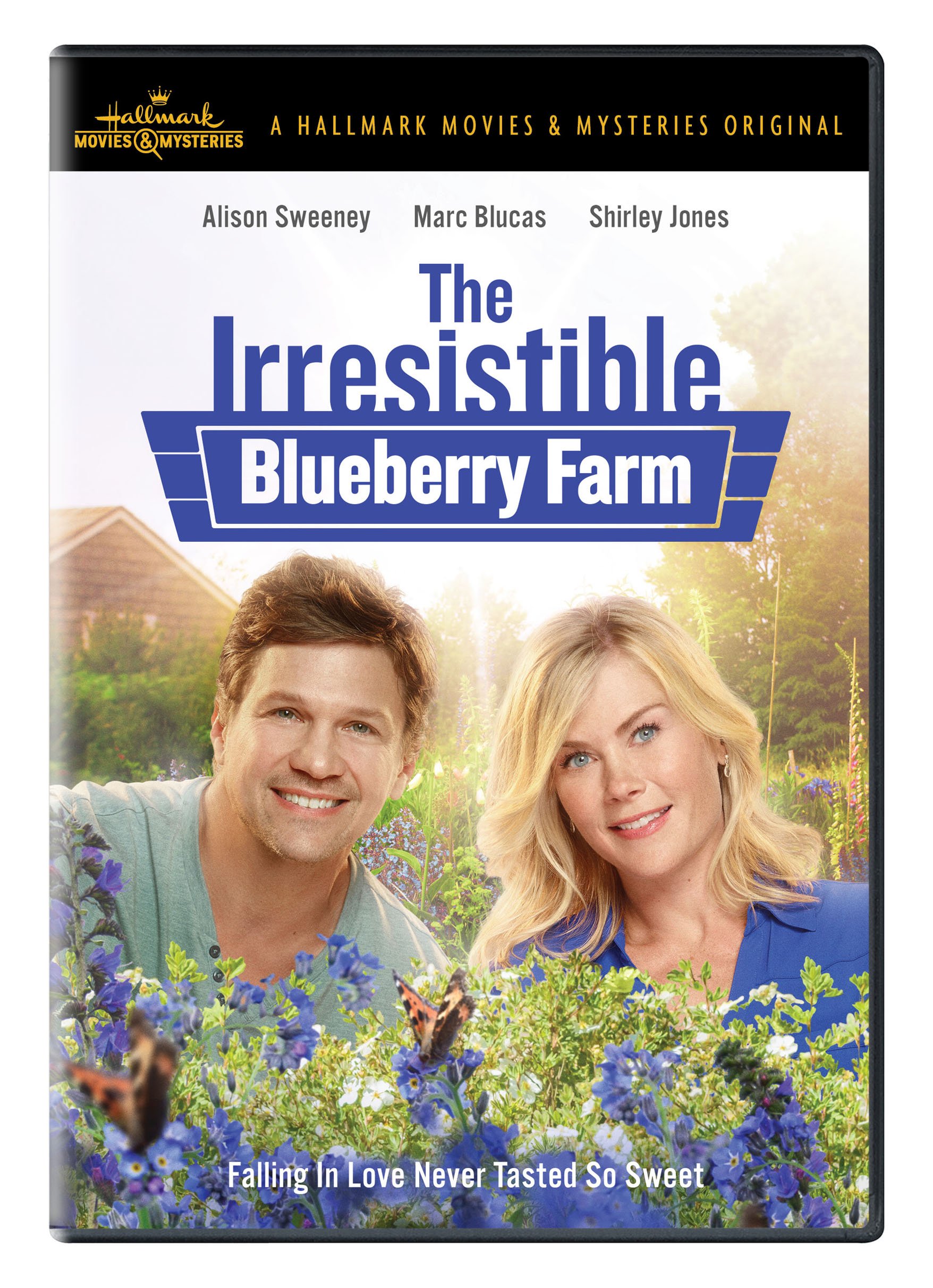 The Irresistible Blueberry Farm