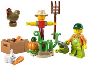 lego city farm combo pack: farm garden and scarecrow polybag (30590) and brown chicken