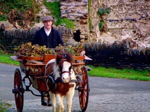 edwardian farm