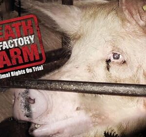 Death On A Factory Farm