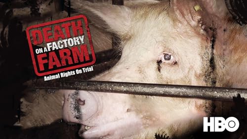 Death On A Factory Farm