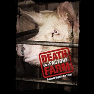 Death On A Factory Farm