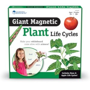 learning resources giant magnetic plant life cycle - 12 pieces, science exploration activities for kids, homeschool and classroom science supplies