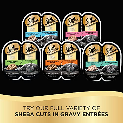 SHEBA Perfect Portions Cuts in Gravy Wet Cat Food Trays (24 Count, 48 Servings), Gourmet Salmon & Sustainable Tuna Entrée, Easy Peel Twin-Pack Trays