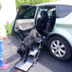 Pet Loader® Light 16" Platform, 4-Step Safe Affordable Way to Travel with Your Dogs. USA Made Stable Large Dogs and Small Dogs Easy to use Foldable Lasts a Lifetime