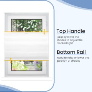 Allesin Top Down Bottom Up Cellular Shades,Blackout Cellular Shades Noise Reduction,Cordless Cellular Shades Room Darkening Honeycomb Shades,Blackout (White,32"x64") Easy to Install