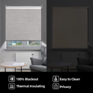 RED GRAPES Roller Window Shades,100% Blackout UV Protection Roller Blinds,Window Blind with Thermal Insulated,Window Shade for Home Office Living Room,Easy to Install(Light coffee, 36'')