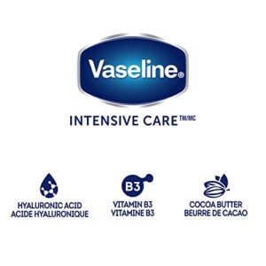 Vaseline Intensive Care Hand Crème Moisturizer for Dry Hands Hydra Replenish Made with hyaluronic acid, vitamin B3, and cocoa butter 3.4 oz 6 Count