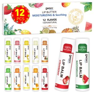 dmsky 12 pack lip balm, natural lip balm bulk with vitamin e and coconut oil, moisturizing soothing chapped lips, gifts for women stocking stuffers party favors