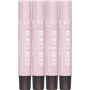 burt's bees shimmer lip tint set, tinted lip balm stick, moisturizing for all day hydration with natural origin glowy pigmented finish & buildable color, champagne (4-pack)