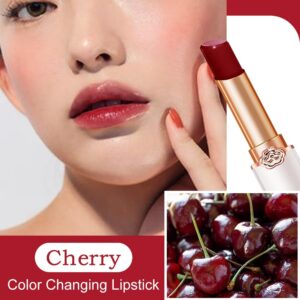 evpct 2Pcs Black Red Cherry Color Changing Magic Lipstick Tinted Lip Balm Gloss Stain Set PH Lazy Lipstick Waterproof Color Change Changing Jelly Lipstick labiales magicos mate 24 horas originales