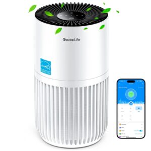 goveelife mini air purifier for bedroom, hepa smart filter air purifier with app alexa control for pet hair, odors, pollen, smoke, portable air cleaner with 3 speeds, 2 modes, timer, aroma for home