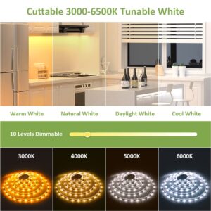 NOVOSTELLA 79ft(2rolls) Tunable White LED Strip Light Kit 2688LEDs Dimmable 3000K-6500K 24V Flexible Tape Remote Ribbon for Stage Bedroom Party Kitchen Stair Living Room Ceiling Daylight Warm White