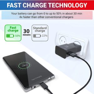 Type C Fast Charger, for Samsung Charger Android Phone USB C Charger Block, Charge Cable 10ft for Galaxy S23/S23+/S22/S21/S20/S10e/S9/S8/Note20/Note10/Note9/Z Fold 3/4/5 2-Pack