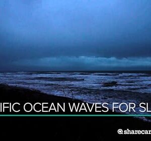 Pacific Ocean Waves