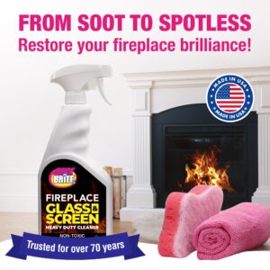 Quick N Brite Fireplace Glass Cleaner 24oz, with Sponge and Microfiber Towel