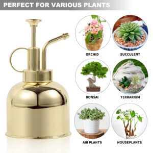 Plant Mister Spray Bottle, Metal Stainless Steel Plant Sprayer Mister, Small Watering Can Plant Spritzer with Top Pump for Indoor House Air Plants Succulents Outdoor Garden Decorative(Gold)