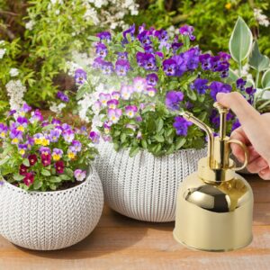 Plant Mister Spray Bottle, Metal Stainless Steel Plant Sprayer Mister, Small Watering Can Plant Spritzer with Top Pump for Indoor House Air Plants Succulents Outdoor Garden Decorative(Gold)