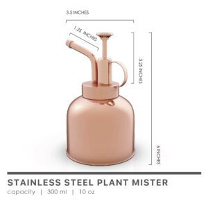 LOOPSEED Stainless Steel Plant Mister Spray Bottle Watering Can for Indoor Plants Succulent Bonsai Garden Spray Houseplant Spritzer Modern Garden Tools 10oz/300ml (ROSE GOLD)