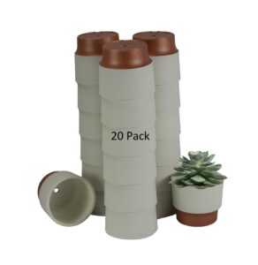 the hc companies 2.5 inch sprite mini succulent pot - small plastic planter with drainage for indoor plants, crafts, wedding favors, vanilla bisque (20 pack)